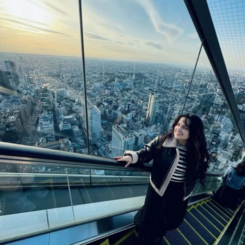 Tokyo City Private Tour With English Speaking Driver In Car - FAQ