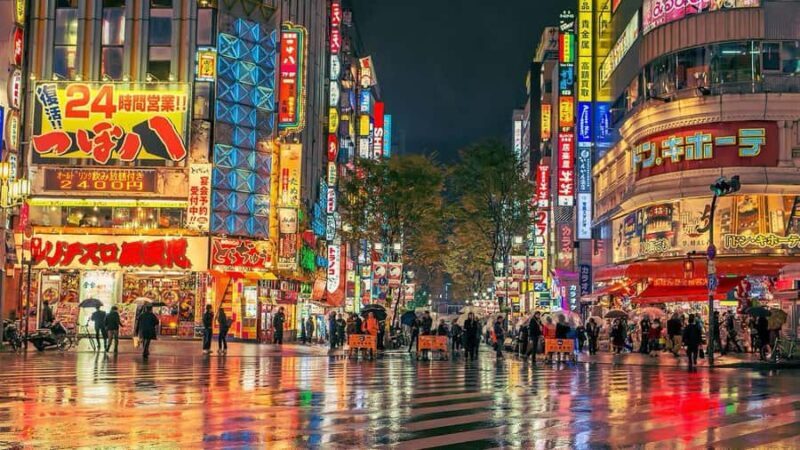 Tokyo City Private Tour with English Speaking Driver - Real Reviews and Insights