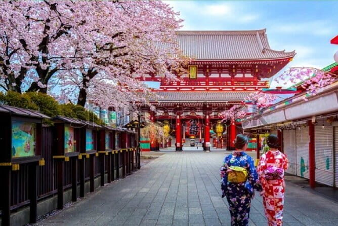 Tokyo City Tour by Private Car & English guide - Key Points