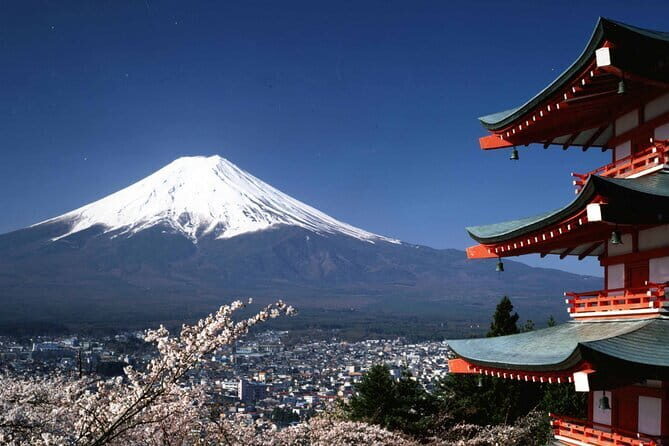 Tokyo City Tour by Private Car & English guide - The Sum Up: Who Will Love This Tour?