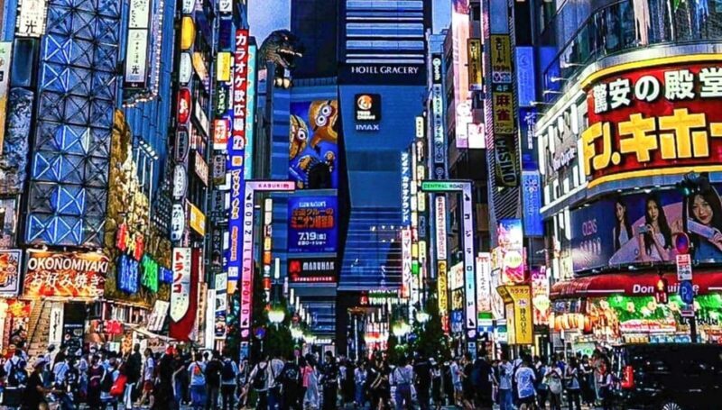 Tokyo City Tour in Shinjuku with Licensed Guide - Exploring Tokyo’s Shinjuku: A Local’s Perspective on the City Tour Experience