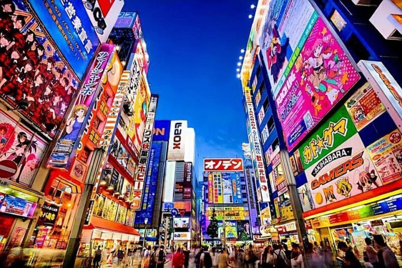 Tokyo: City Tour Tokyo With Driver - An Honest Look at the Itinerary and What You’ll Experience