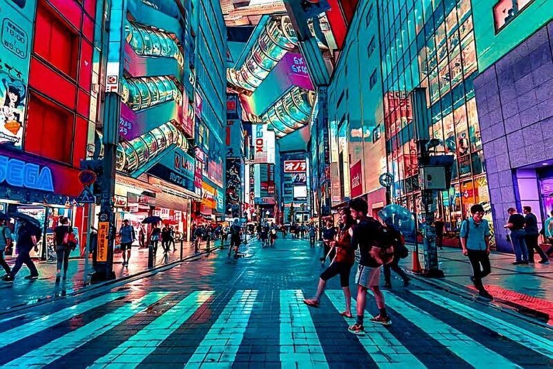 Tokyo: City Tour Tokyo With Driver - Who Will Love This Tour?