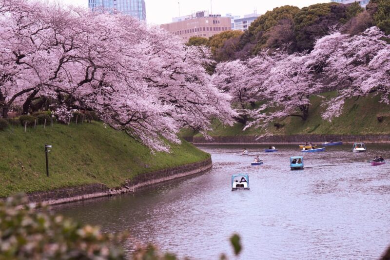 Tokyo: City Tour Tokyo With Driver - The Sum Up: Why Choose This Tour?
