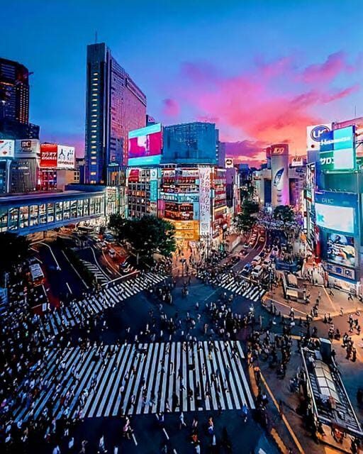 Tokyo: City Tour Tokyo With Driver - FAQ