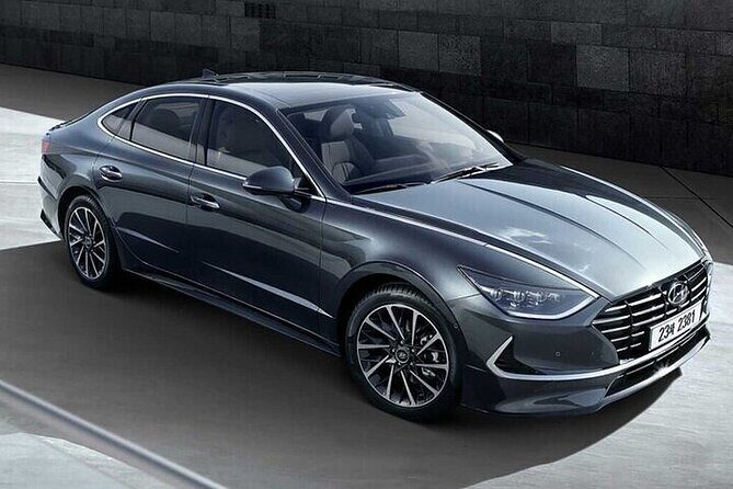 Tokyo City Transfer to Tokyo Disneyland Private Car Adventure - A Closer Look at the Experience