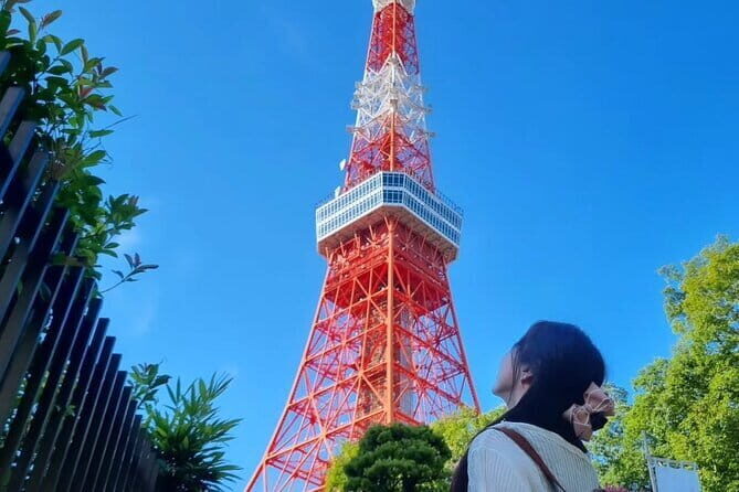 Tokyo City Walk Private Sightseeing Day Tour - An In-Depth Review of the Tokyo City Walk Private Tour