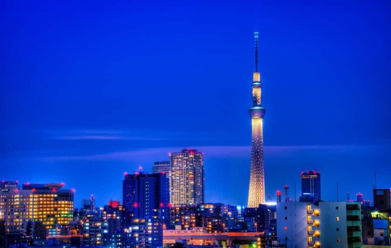 Tokyo: Customizable Day Trip Within Tokyo & English-Driver - The Flexibility and Customization