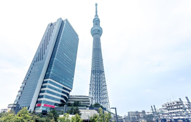 Tokyo: Customizable Day Trip Within Tokyo & English-Driver - Who Will Love This Tour?