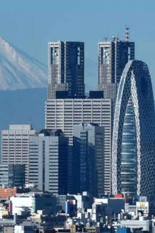 Tokyo: Customizable Private Guided Walking Tour - FAQ