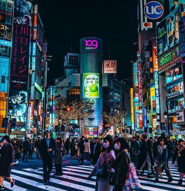 Tokyo Customizable Private Tour by Car & Van - Who Would Enjoy This Tour?