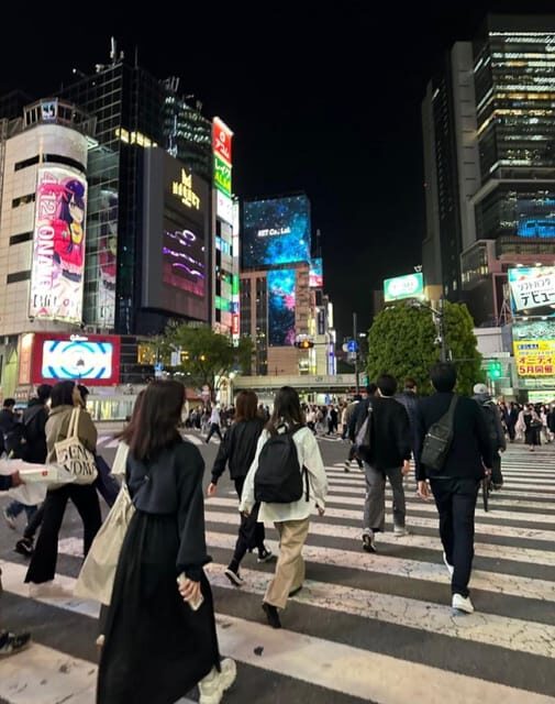 Tokyo Customizable Private Tour by Car & Van - The Sum Up: Who Should Book This Tour?