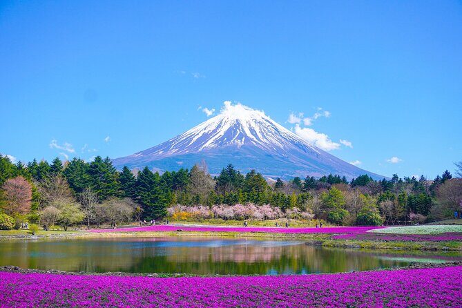 Tokyo: Customized Mt. Fuji & Hakone Sightseeing Private Day Trip - Key Points