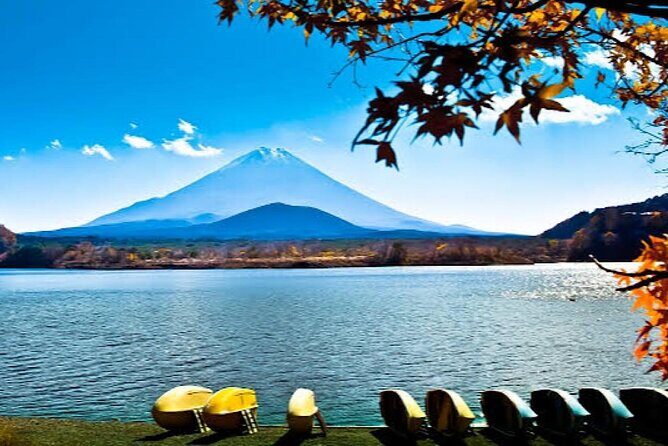 Tokyo: Customized Mt. Fuji & Hakone Sightseeing Private Day Trip - An Engaging Introduction to the Tour