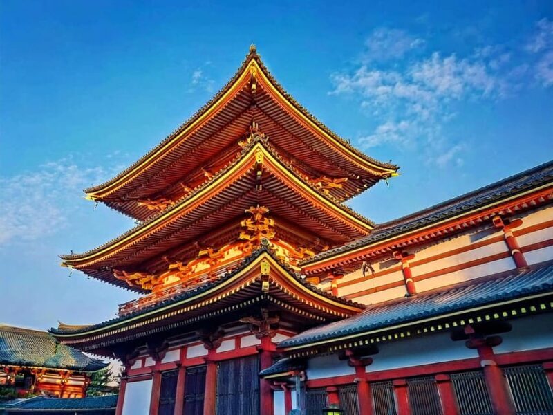 Tokyo: Customized Private Tour with a Local Guide - What Makes This Tour Stand Out?