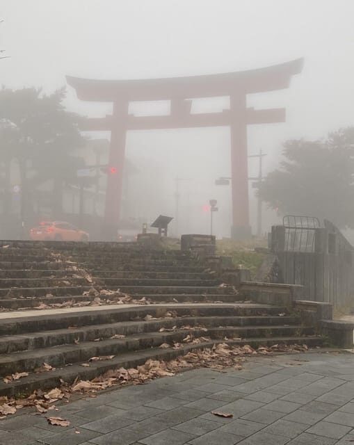 Tokyo: Customized Private Tour with a Local Guide - Why This Tour Is Worth Considering