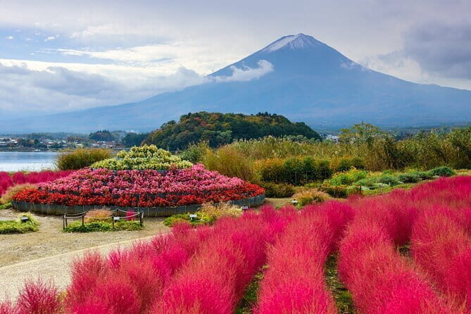 Tokyo: Customized Private Tour with a Local Guide - The Sum Up