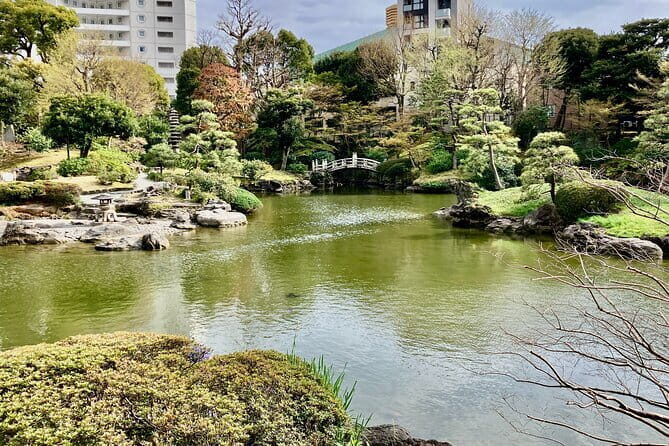 Tokyo Cycling: Visit famous and hidden places of interest - Who Will Enjoy This Tour Most?