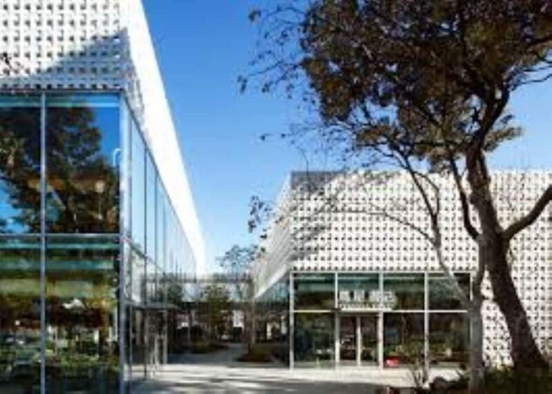 Tokyo: Daikanyama Guided Walking Tour with Local Guide - Final Word