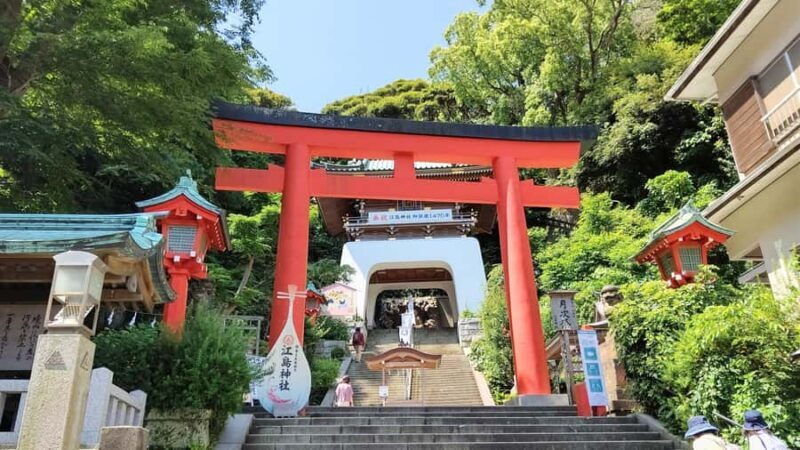 Tokyo Day Trip: Hakone, Lake Ashi & Mt. Fuji Scenic Tour - Key Points