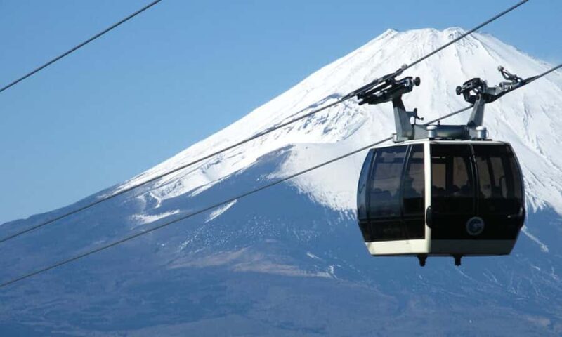 Tokyo Day Trip: Hakone, Lake Ashi & Mt. Fuji Scenic Tour - An In-Depth Look at the Tour