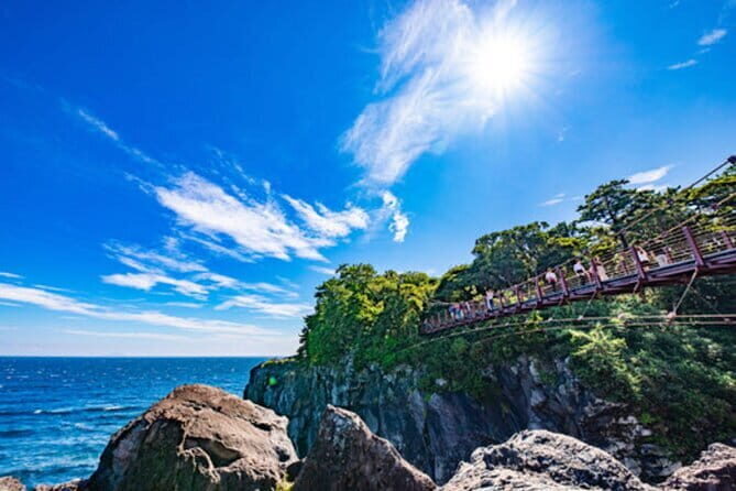 Tokyo Day Trip to Izu and Shimoda - Exploring the Coastal and Natural Wonders of Izu