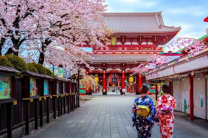 Tokyo Departure Private Transfers from Tokyo City to Tokyo-Narita Airport NRT - Why Choose a Private Transfer from Tokyo to Narita Airport?