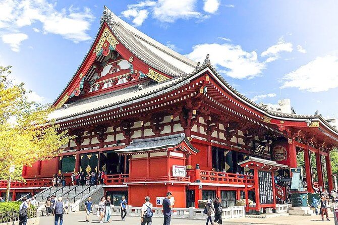 Tokyo Departure Private Transfers from Tokyo City to Tokyo-Narita Airport NRT - Practical Details
