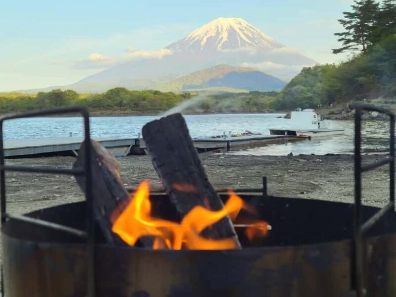 Tokyo: Different Views of Mt Fuji: 3 Lakes & Train Day Tour - Exploring Mt. Fuji’s Hidden Corners: A Balanced Look at the 3 Lakes & Train Day Tour