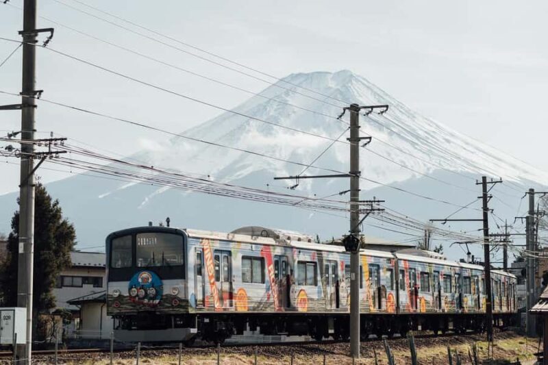 Tokyo: Different Views of Mt Fuji: 3 Lakes & Train Day Tour - The Sum Up: Who Will Love This Tour?