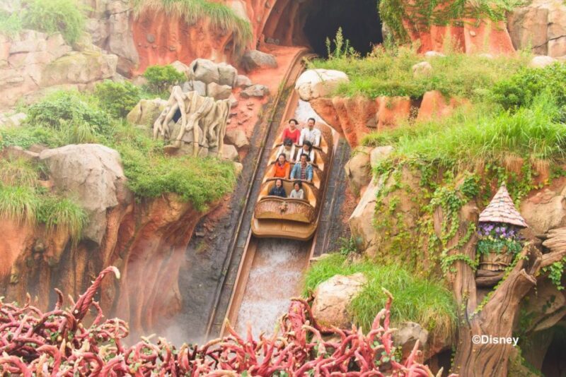 Tokyo Disneyland 1-Day Passport - FAQs