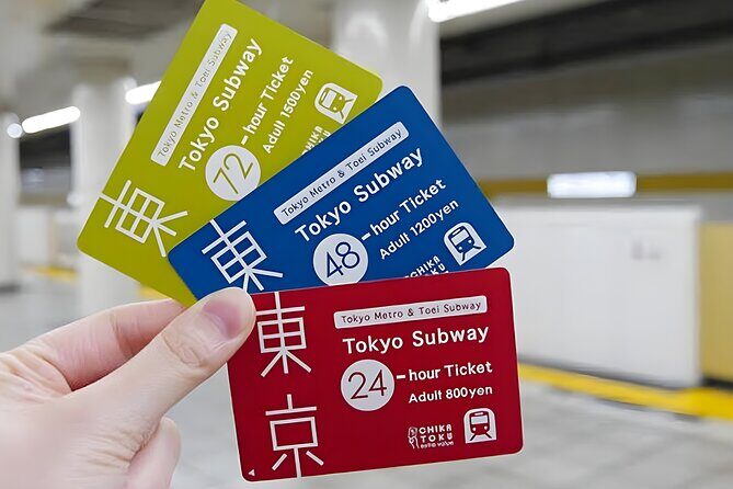 Tokyo Disneyland Ticket & Tokyo Subway Pass - Practicalities and Tips