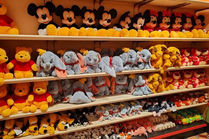 Tokyo Disneyland Ticket & Tokyo Subway Pass - FAQ