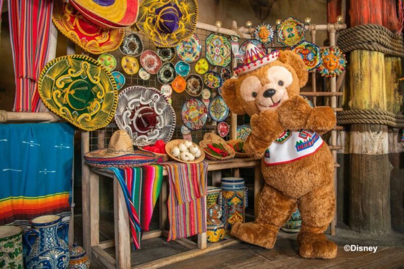Tokyo: DisneySea 1-Day Passport - Who Should Visit Tokyo DisneySea?