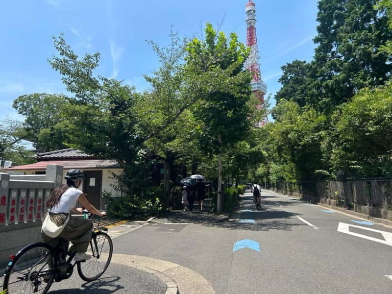 Tokyo : E-Bike Guided Tour Highlights and Hidden Gems - Parks, Snacks, and Nature in the Heart of Tokyo
