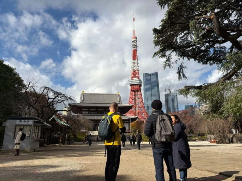 Tokyo : E-Bike Guided Tour Highlights and Hidden Gems - The Value of This Experience