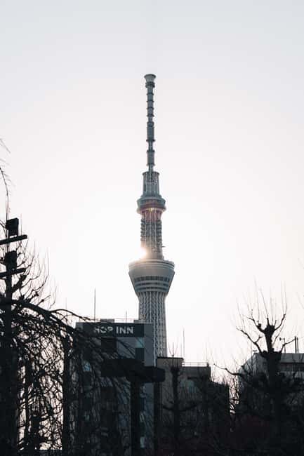 Tokyo Early Morning Tour Asakusa Tsukiji Meiji Shrine - FAQs