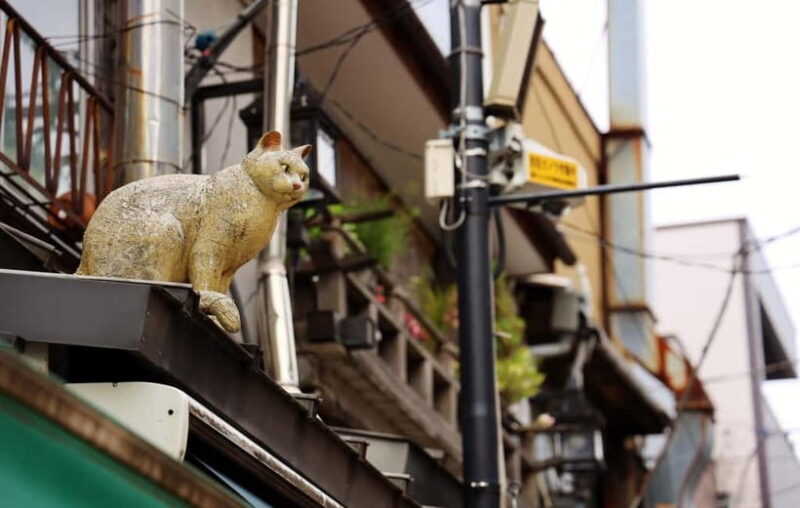 Tokyo: Encounter Cultural Heritage & enjoy the old town - Key Points