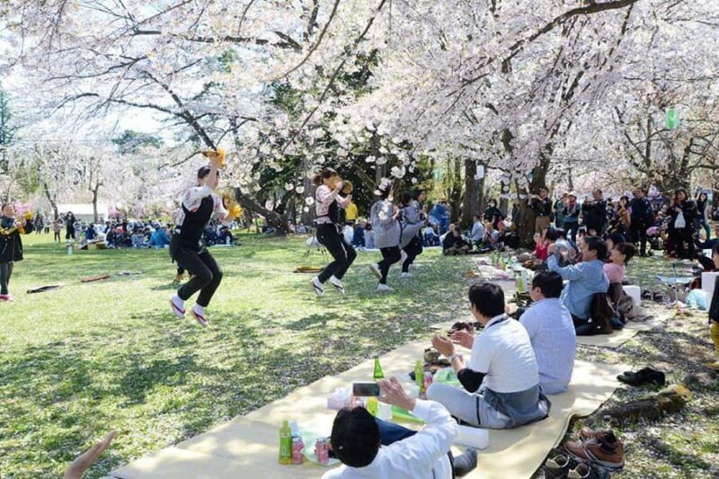 Tokyo: Enjoy "Hanami" Cherry Blossom Experience - Analyzing the Value