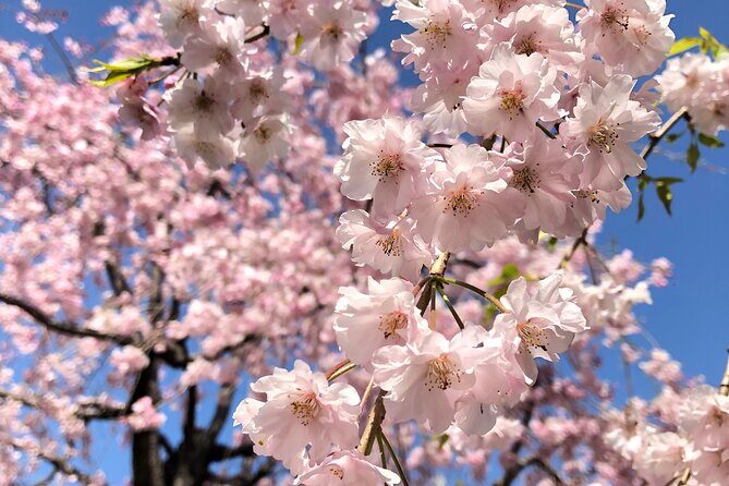 Tokyo Essentials Iconic Neighborhoods and Local Secrets - Frequently Asked Questions