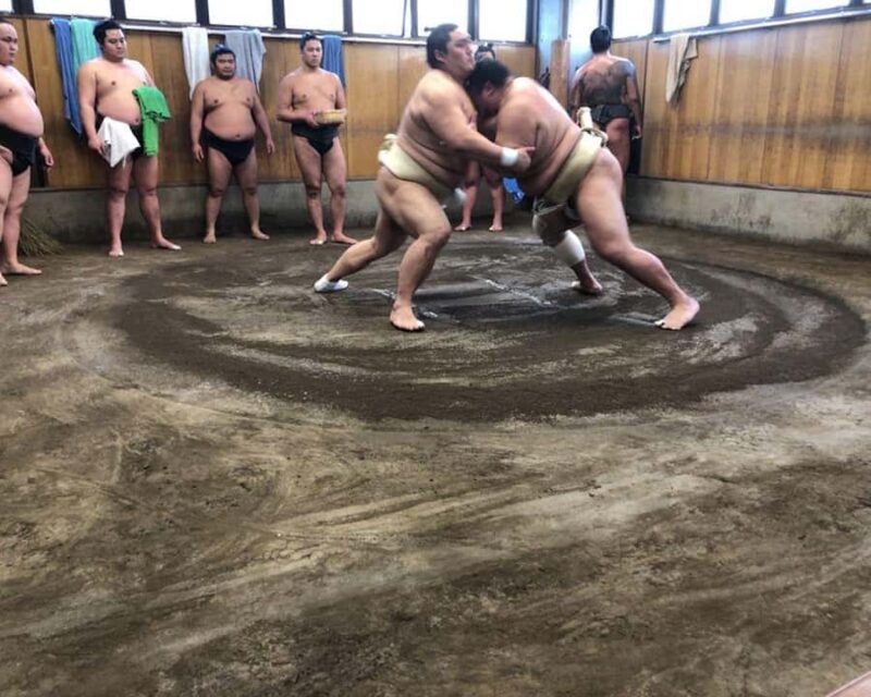 Tokyo: Exclusive Access to Sumo Morning Practice with Photos - Key Points