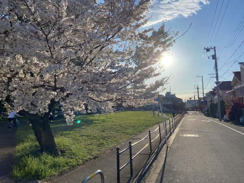 Tokyo: Explore the Authentic Life of a Residential Neighborhood - Exploring Tokyo’s Hidden Residential Corners