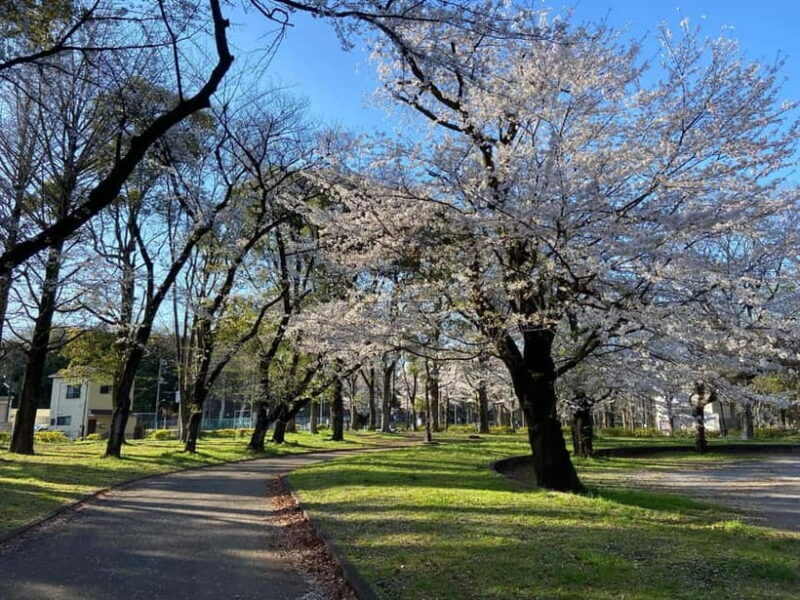 Tokyo: Explore the Authentic Life of a Residential Neighborhood - Who Will Love This Tour?