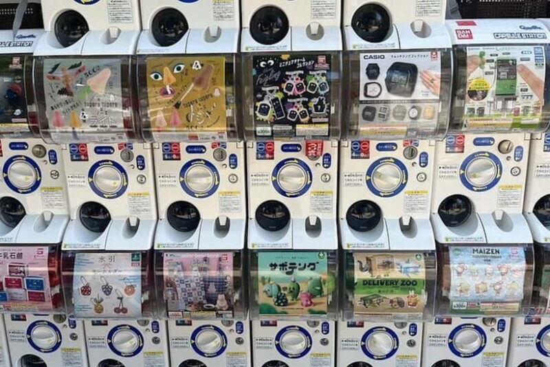 Tokyo: Exploring Anime & Electronics Tour in Akihabara - Exploring Akihabara: A Neighborhood of Contrasts