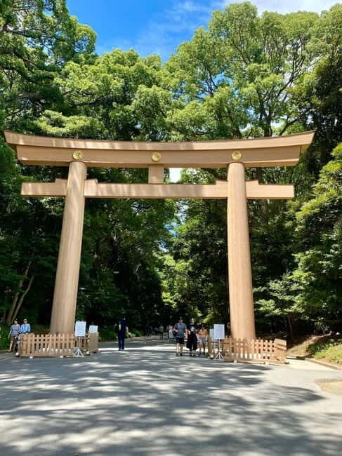 Tokyo Family Private Tour: Meiji Shrine & Sanrio Puroland - Key Points