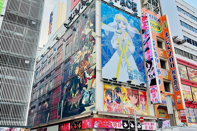 Tokyo Full Day Asakusa, Akihabara, Harajuku and Shinjuku - An In-Depth Look at the Tokyo Full Day Tour