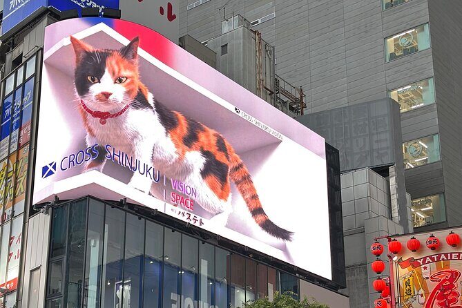 Tokyo Full Day Asakusa, Akihabara, Harajuku and Shinjuku - FAQ