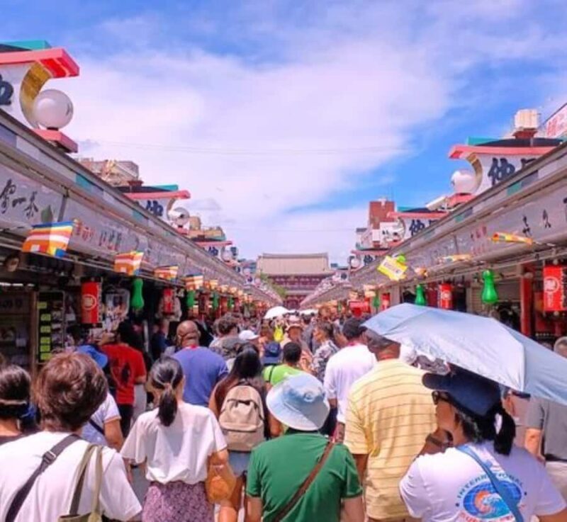 Tokyo Full Day Customizable Private Day Trip with Guide - Who Should Consider This Tour?