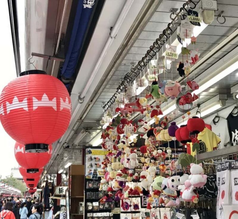 Tokyo Full Day Customizable Private Tour with English Guide - Key Points