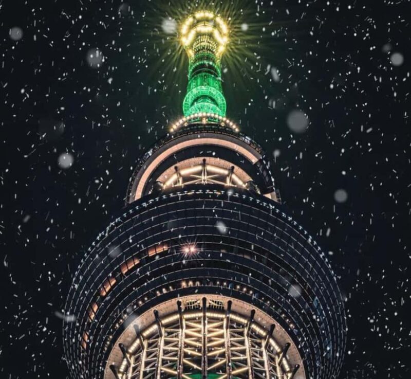 Tokyo Full Day Customizable Private Tour with English Guide - What to Know About This Private Tokyo Tour